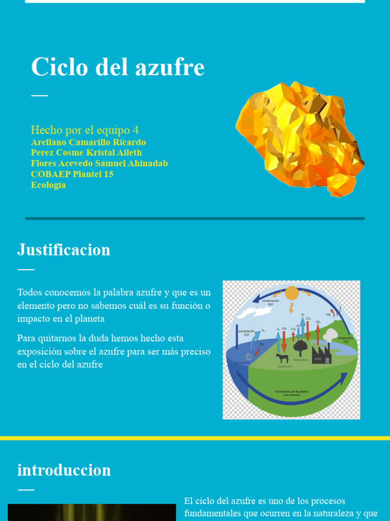 Ciclo Del Azufre | PDF | Azufre | Suelo