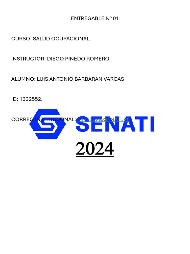 Entregable N 01 Salud Ocupacional | PDF