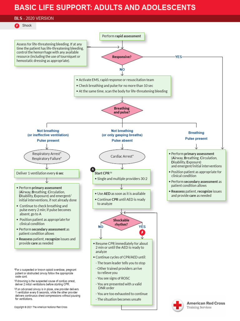 BLS Code Card - Basic Life Support Adults and Adolescents | PDF ...
