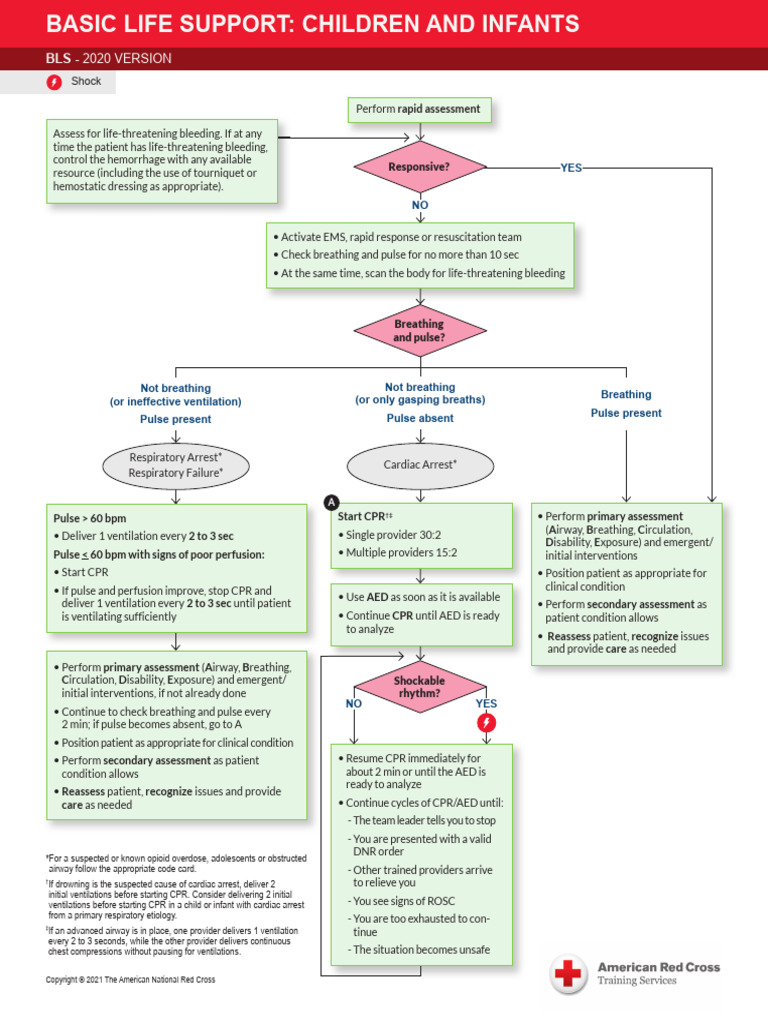 BLS Code Card - Basic Life Support Children and Infants | PDF | Cardiopulmonary Resuscitation ...