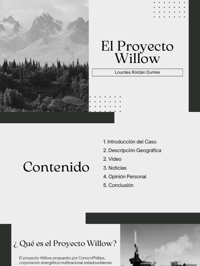 El Proyecto Willow | PDF
