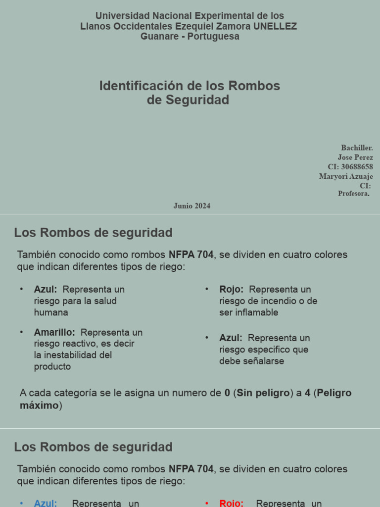 Rombos | PDF | La seguridad