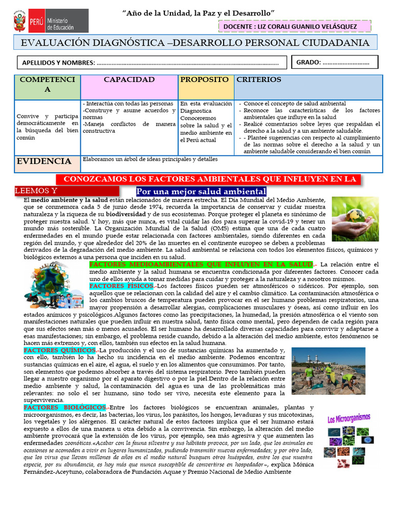 Evaluacion Diagnostica - 1ero y 2do Grado-Dpcc | Descargar gratis PDF | Entorno natural | Las ...
