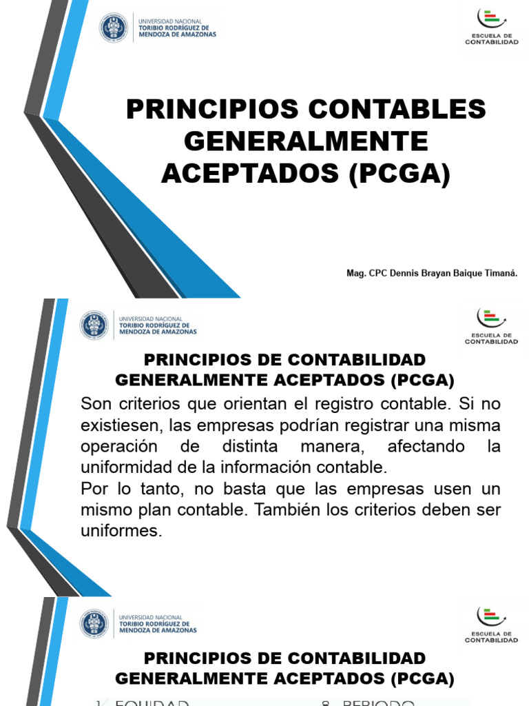 PCGA | PDF | Contabilidad | Business