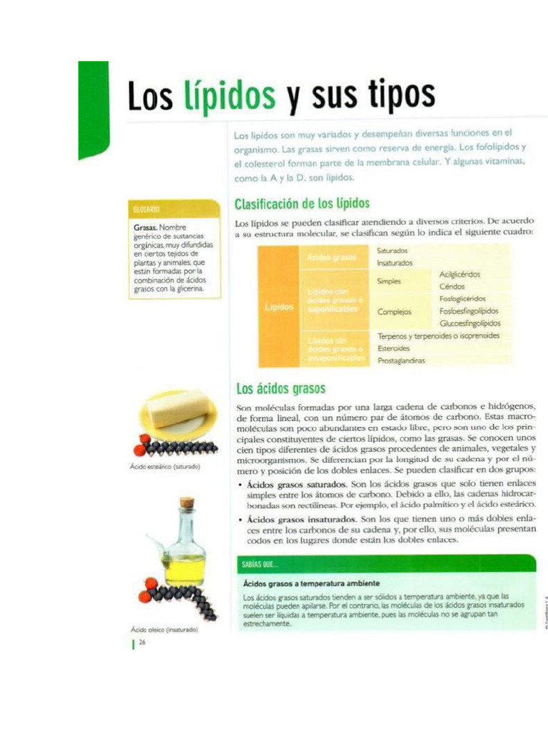 Cta | PDF