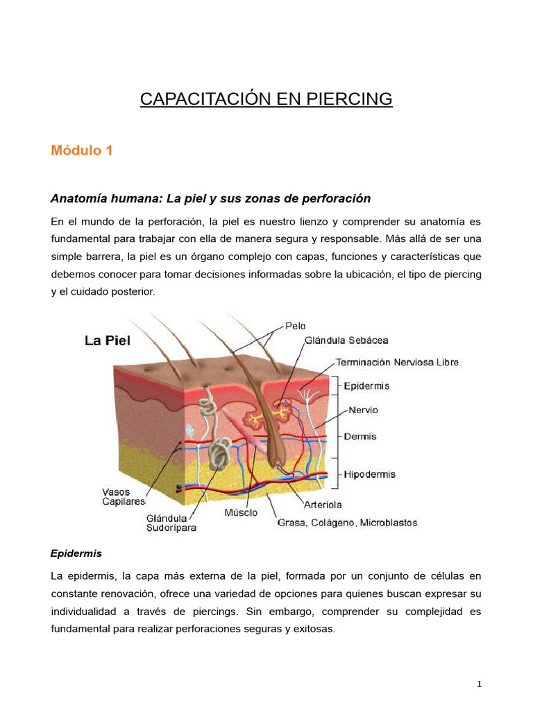 Modulo 1 Capacitacionen Piercing | PDF | Piel | Epidermis