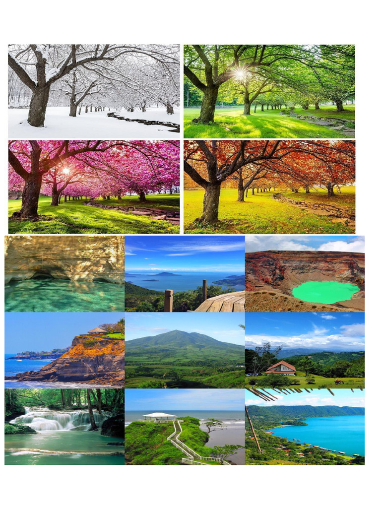 Microsoft 365 (Office) 4 | PDF