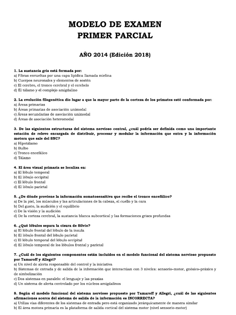 Modelo de Primer Parcial Opción 5 | PDF