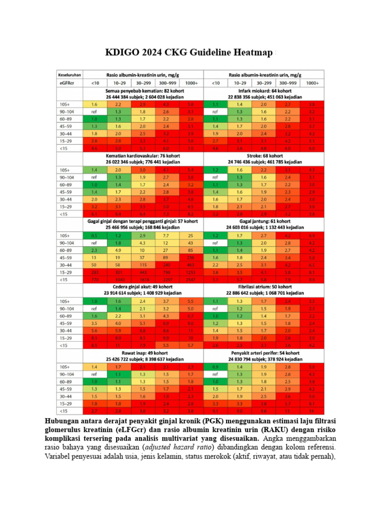 KDIGO 2024 CKG Guideline Heatmap | PDF