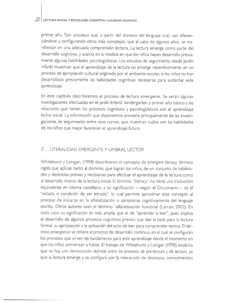 Lectura Inicial y Psicologi A Cognitiva LUIS BRAVO VALDIVIESO 15 36 | PDF