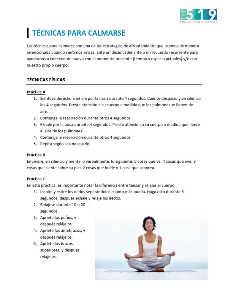 Técnicas de Grounding en Español | PDF
