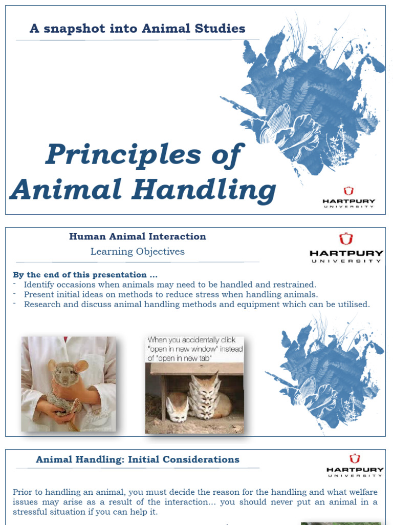 The Principal of Handling-Animals | PDF | Snake | Stress (Biology)