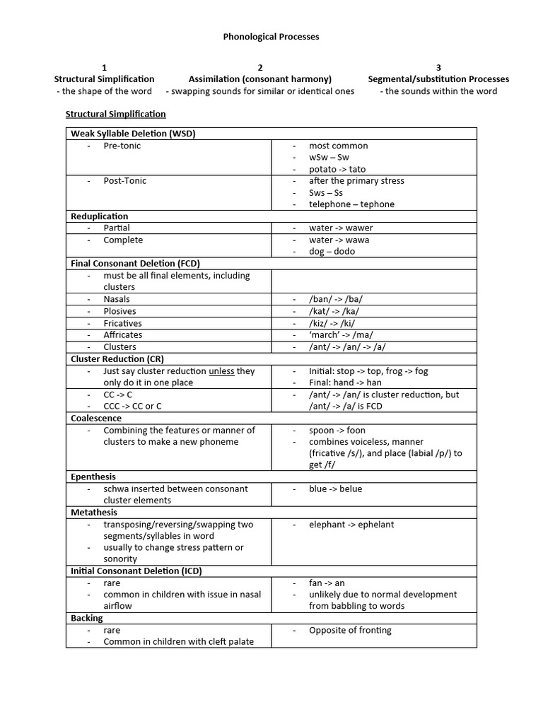 Overview of Phonological Processes | PDF | Consonant | Phonetics