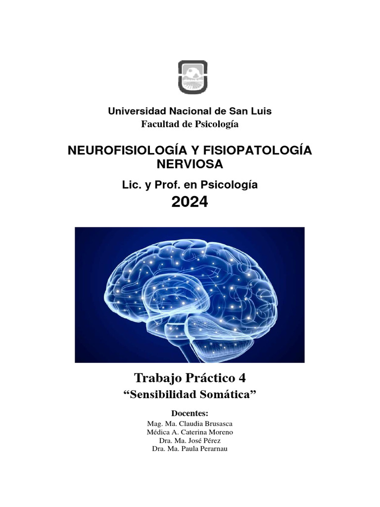 TP 4 Sensibilidad Som-Tica | PDF | Neurona | Neurofisiología