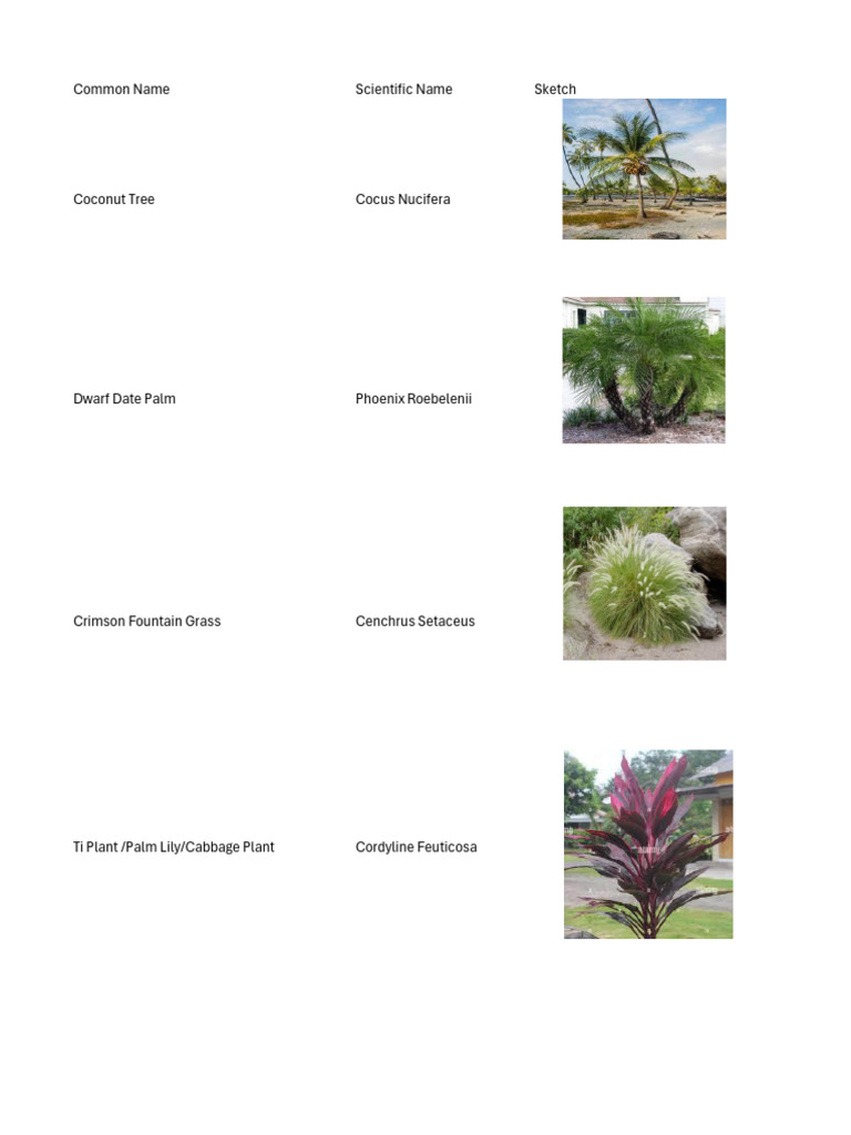 Planters Sheet | Download Free PDF | Leaf | Flowers