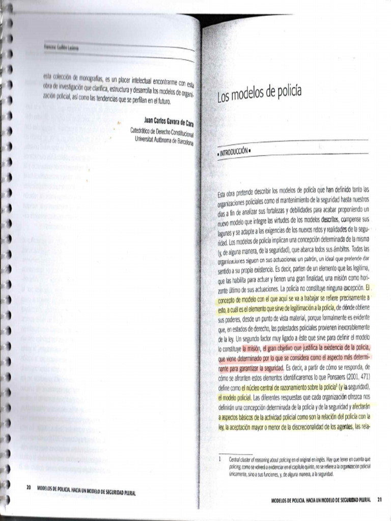 Guillen, Modelos de Policía | PDF