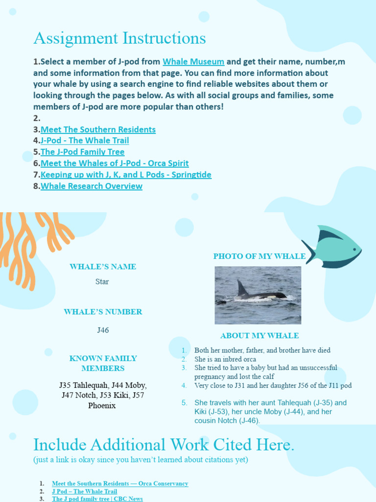 My Orca Whale Assignment | PDF