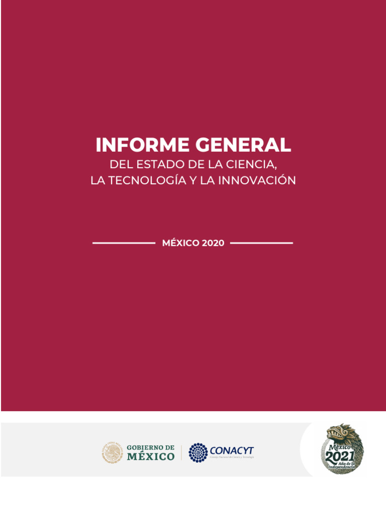 Informe General 2020 | PDF | Science