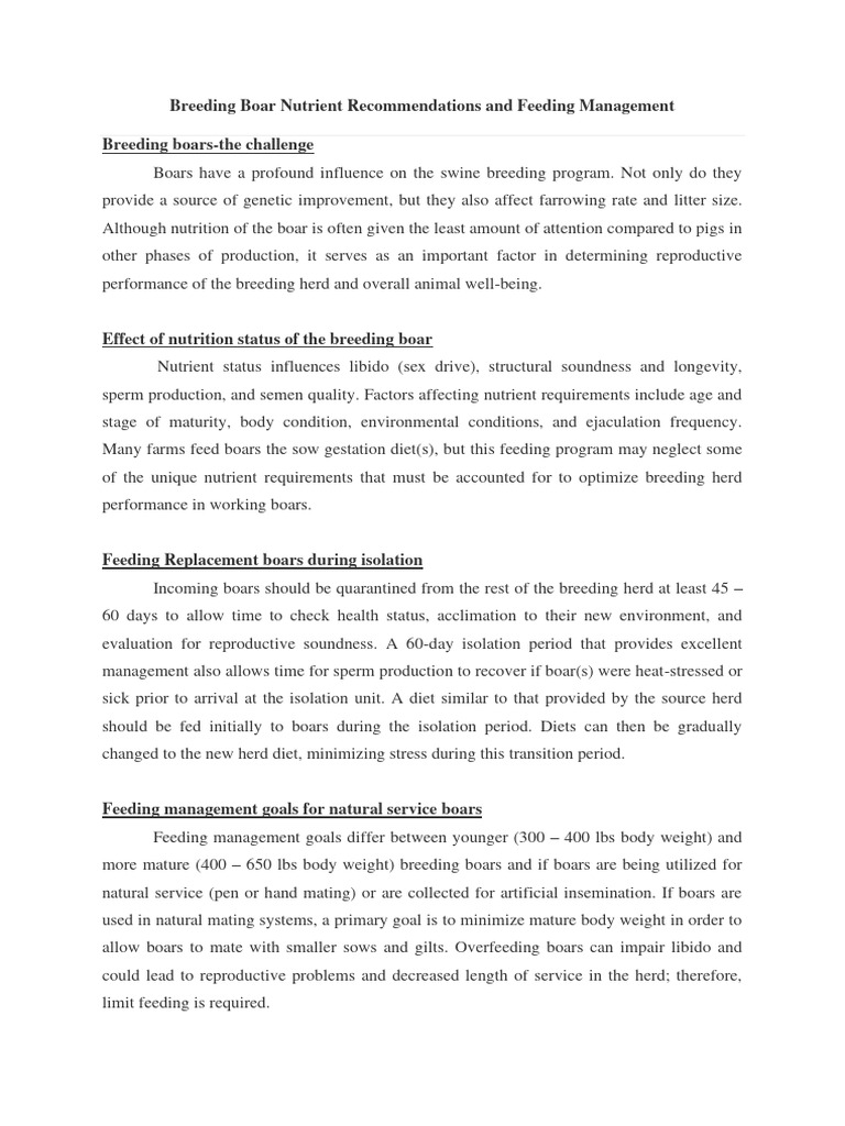 Boar Nutrient Recommendations | PDF | Diet (Nutrition) | Diet & Nutrition