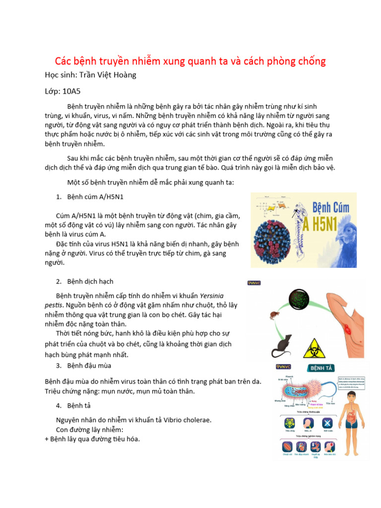 Trần Việt Hoàng 10A5 | PDF