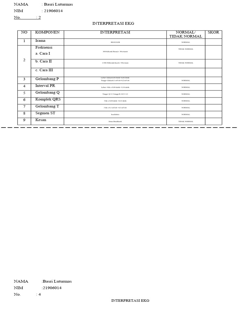 Format Interpretasi - Basri Luturmas - 21906014 | PDF