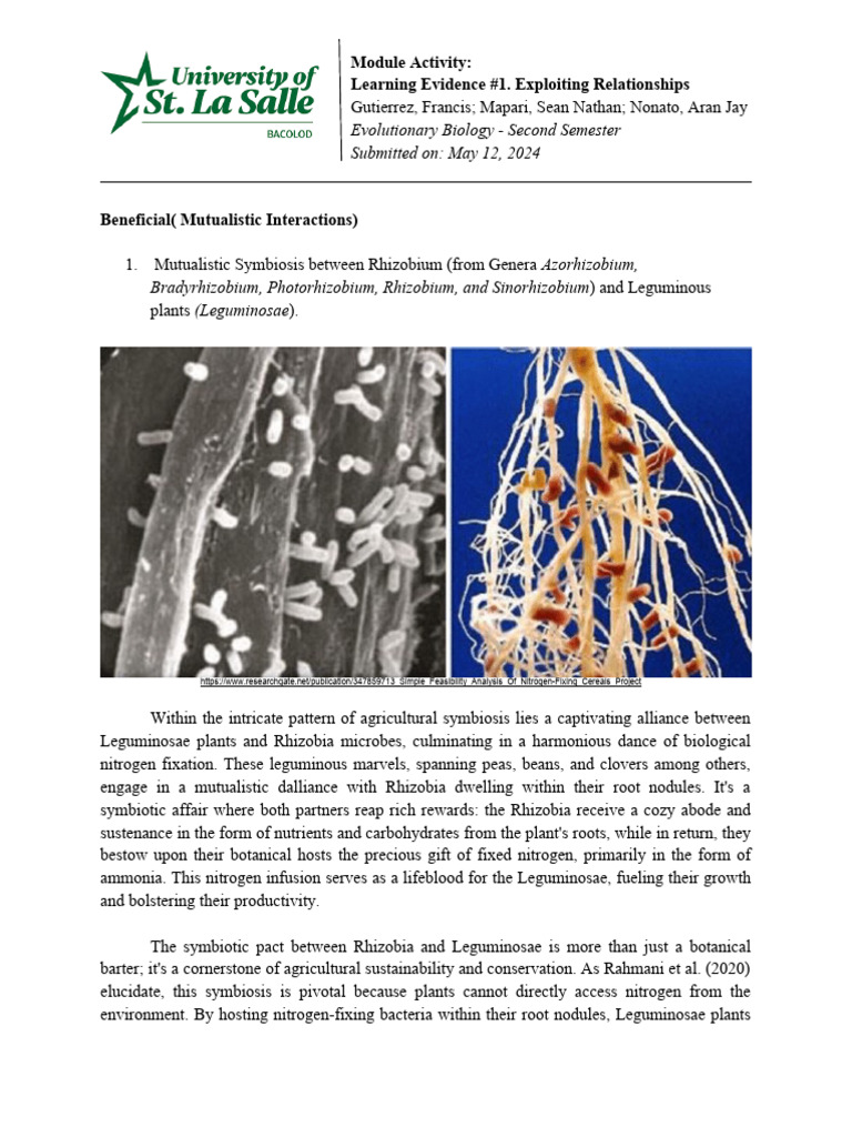 Evolutionary Biology - Second Semester Submitted On: May 12, 2024 | PDF | Pollination | Predation