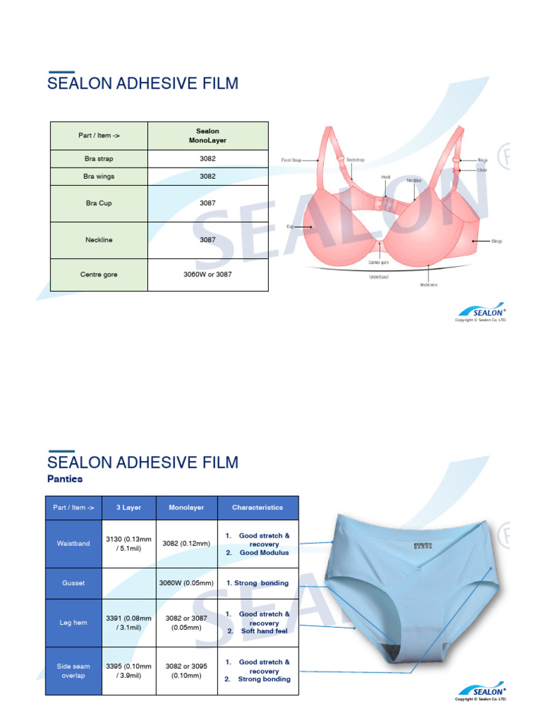 Panty & Bra Application | PDF