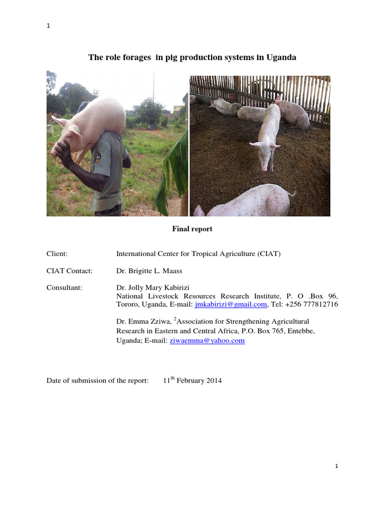 Swine Production (Forage) | PDF | Meat | Agriculture
