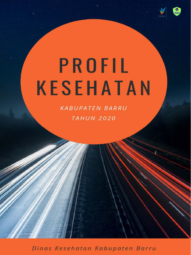 PROFIL - 2020 Barru | PDF | Pengelolaan Keuangan & Uang | Ilmu Sosial