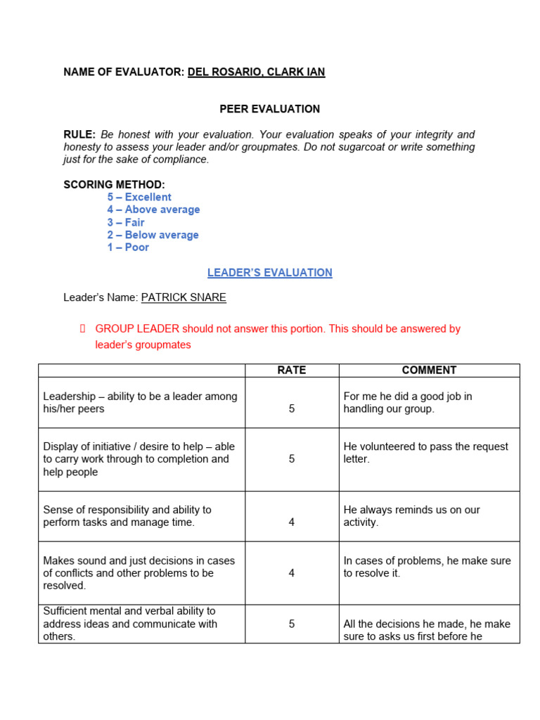 Peer Evaluation 1 | PDF | Cognition | Social Psychology