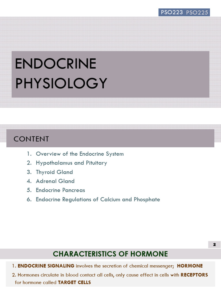 PSO223 (225) Endocrine | PDF | Cortisol | Adrenal Gland