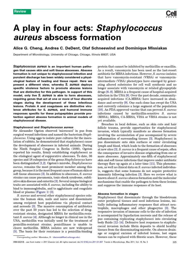 (2011) - Staph Aureus Abscess Formation | Download Free PDF ...