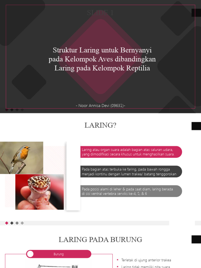 Noor Annisa D - 09631 - Struktur Laring Burung Dan Reptil | PDF