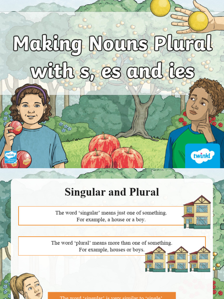 t2 e 704 Making Nouns Plural With S Es and Ies Lesson Teaching ...