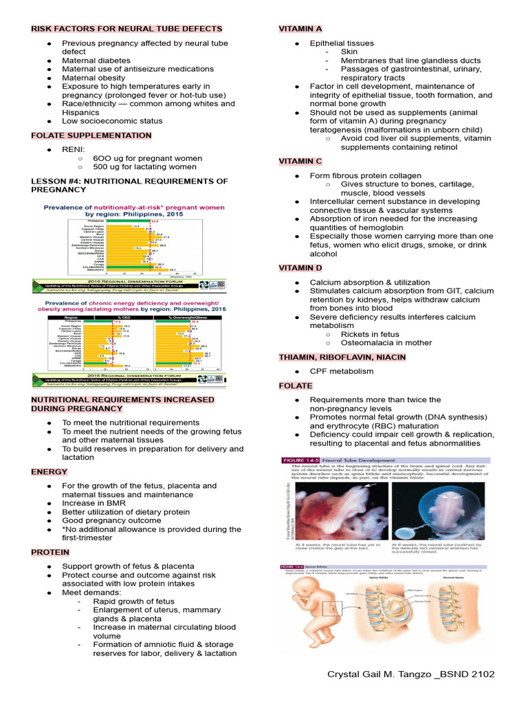 NLS Lesson4 | PDF | Pregnancy | Fetus