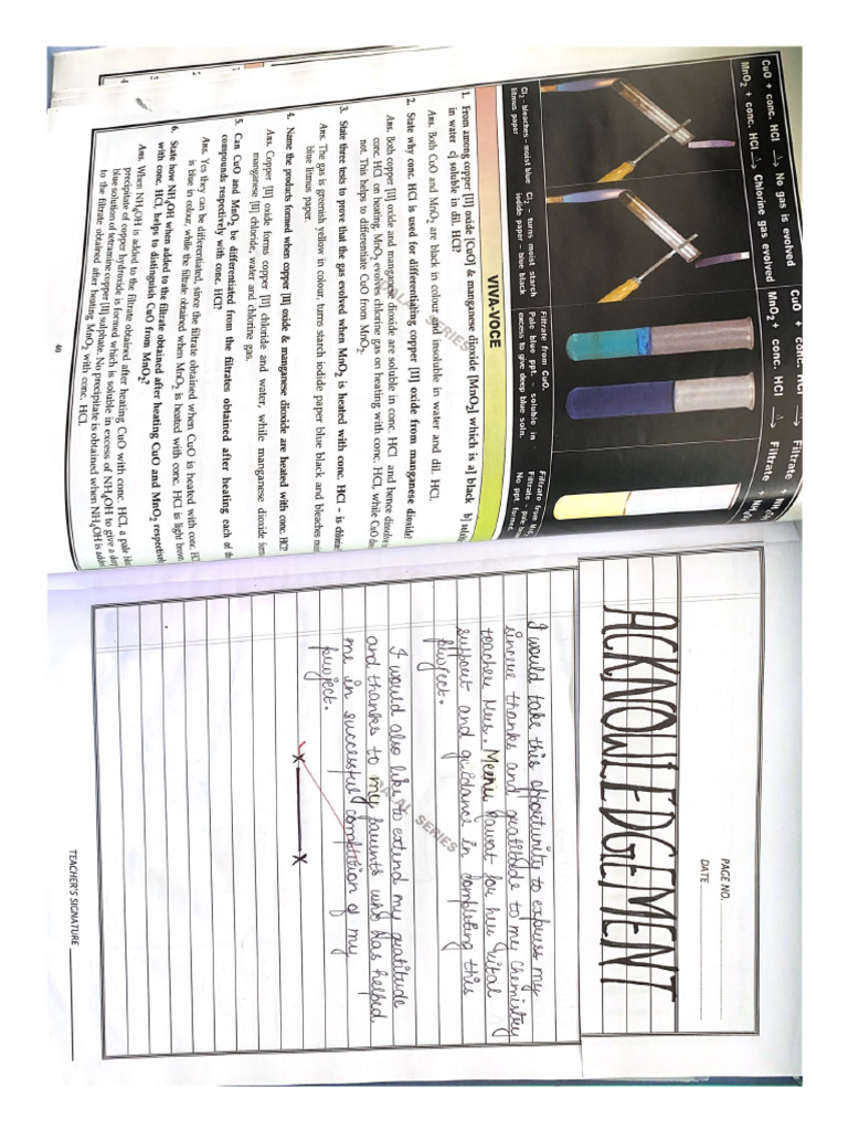 Chemistry Practicals Class 10 | PDF