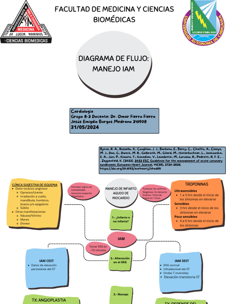 Diagrama de Flujo. Manejo de IAM | PDF | Infarto de miocardio | Sistema ...