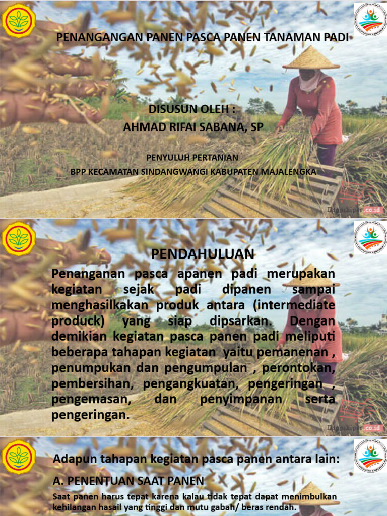 Panduan Penanganan Pasca Panen Padi | PDF | Griya & Taman | Sains & Matematika