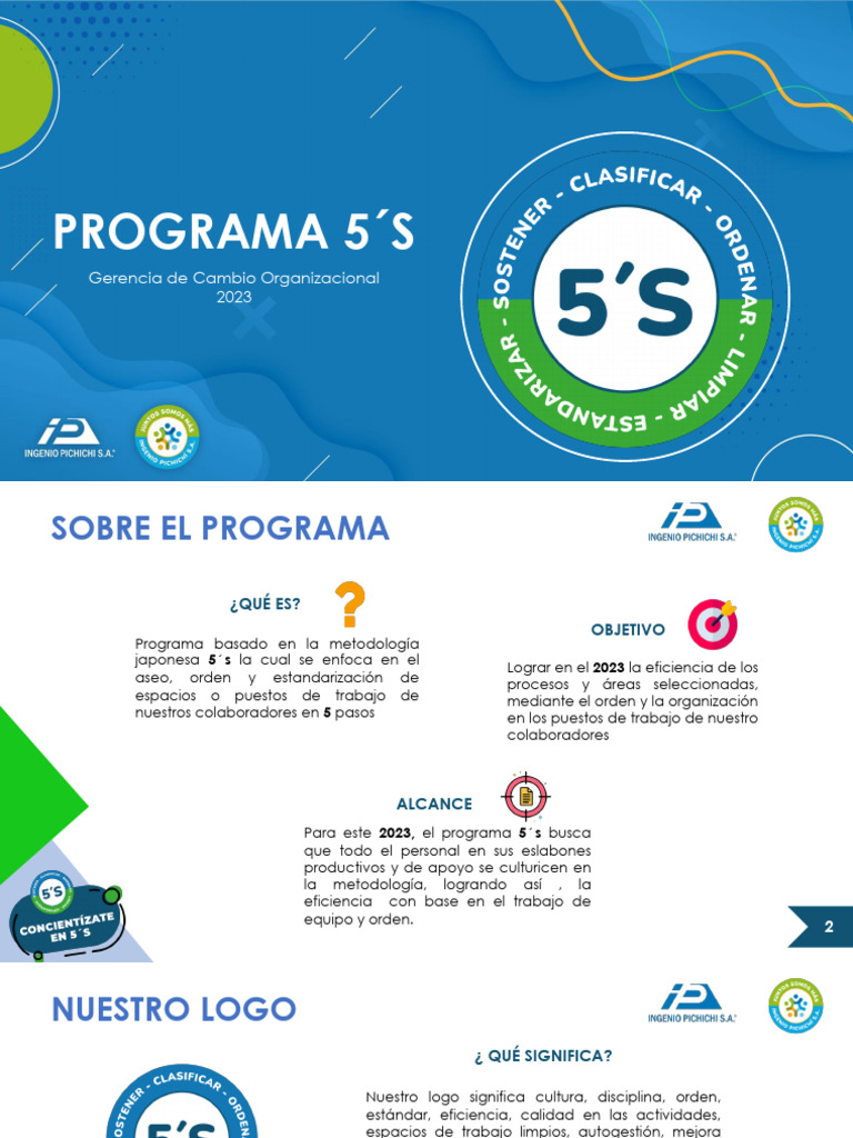 Programa 5 S | PDF