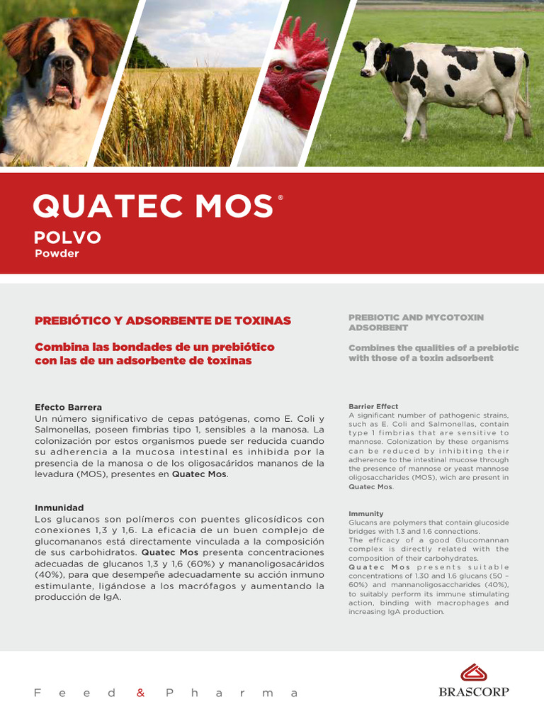 Flyer-Quatec Mos | PDF | Especialidades Medicas | Biología