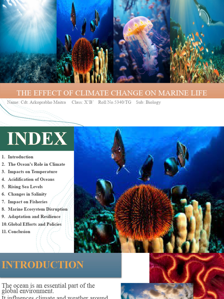 Ocean Presentation | PDF | Oceans | Climate Change