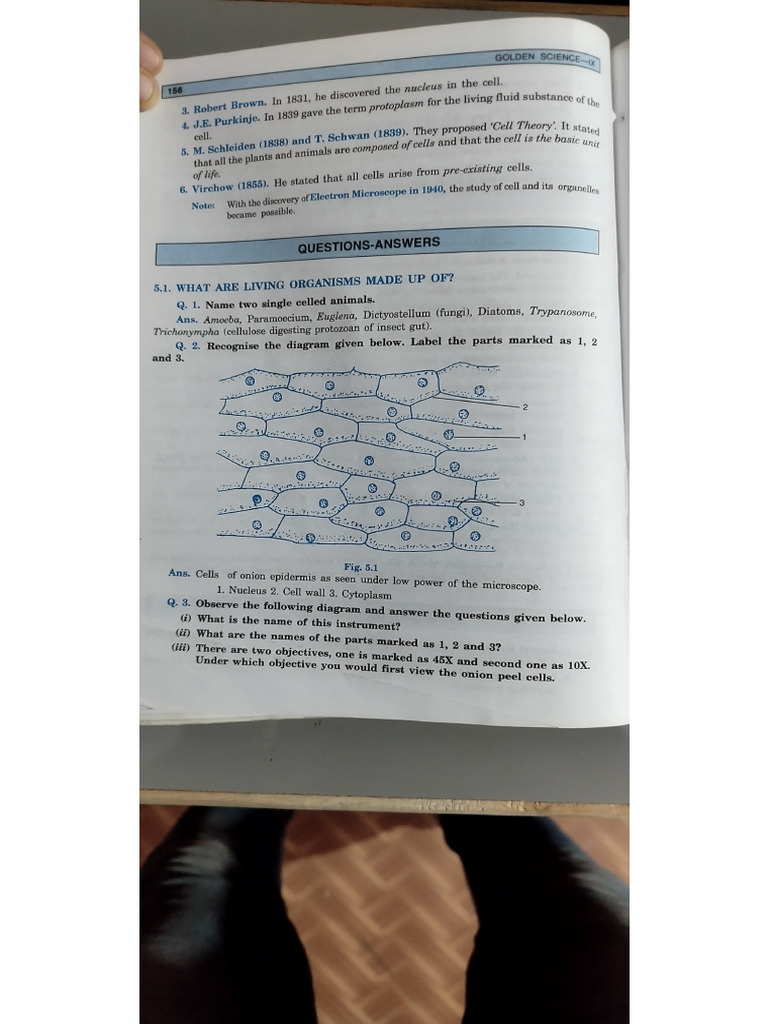 Bio Class 9 Chapter 1 | PDF
