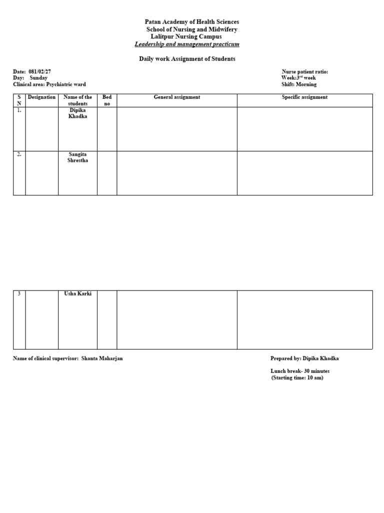 Nursing Practicum Daily Assignments | PDF
