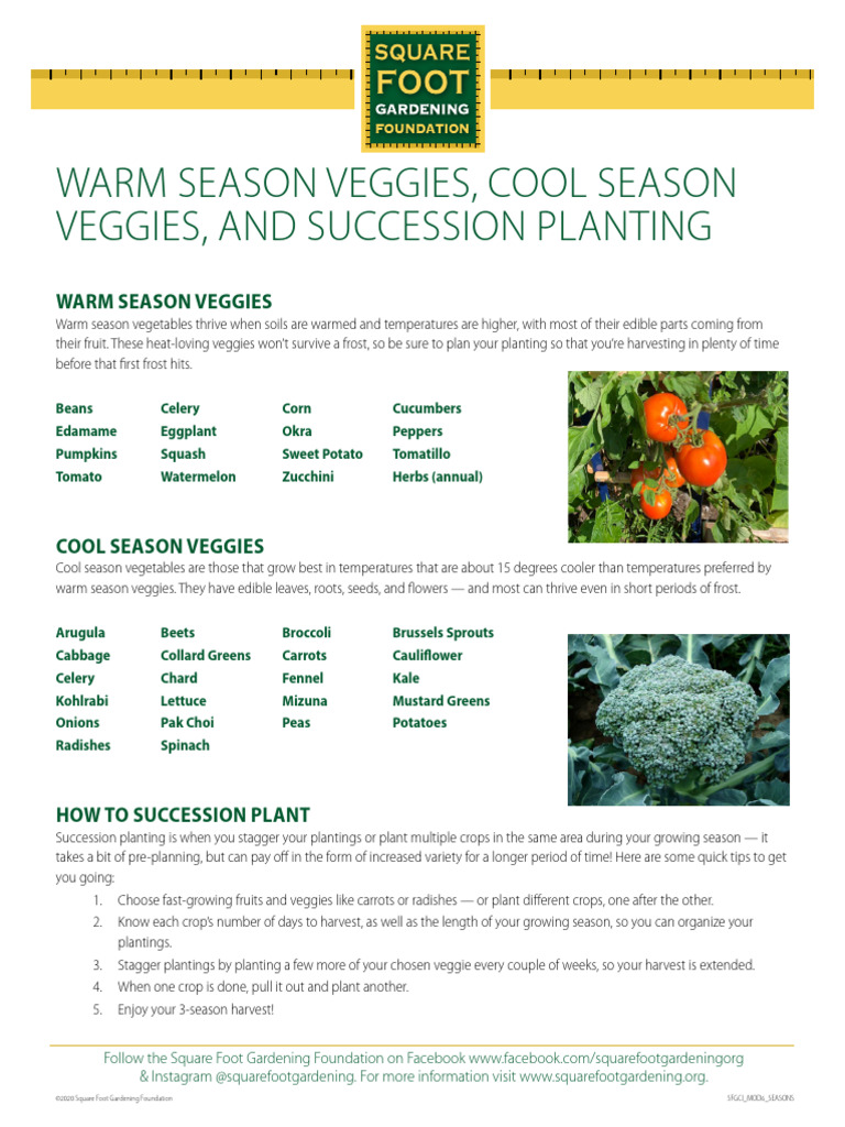 Warm and Cool Season Vegetable Guide | PDF | Vegetables | Crops