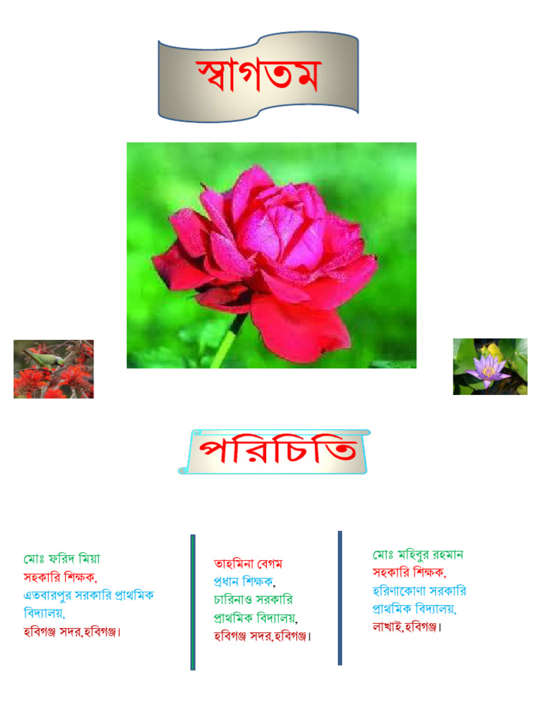 C3-Science-Jib Jor | PDF