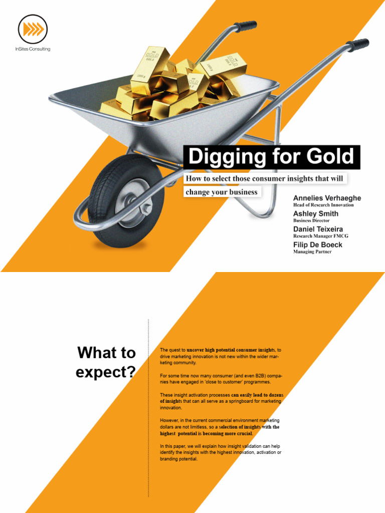 How To Find Insight | PDF | Brand | Marketing