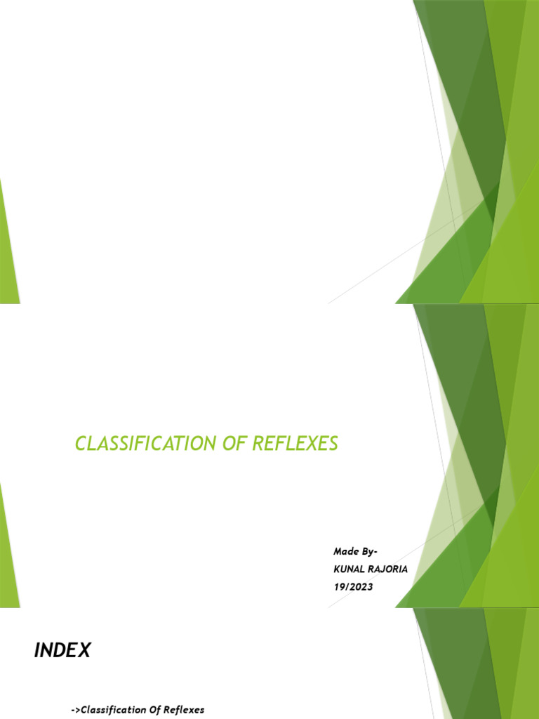Classification of Reflexes | PDF | Neurophysiology | Human Anatomy