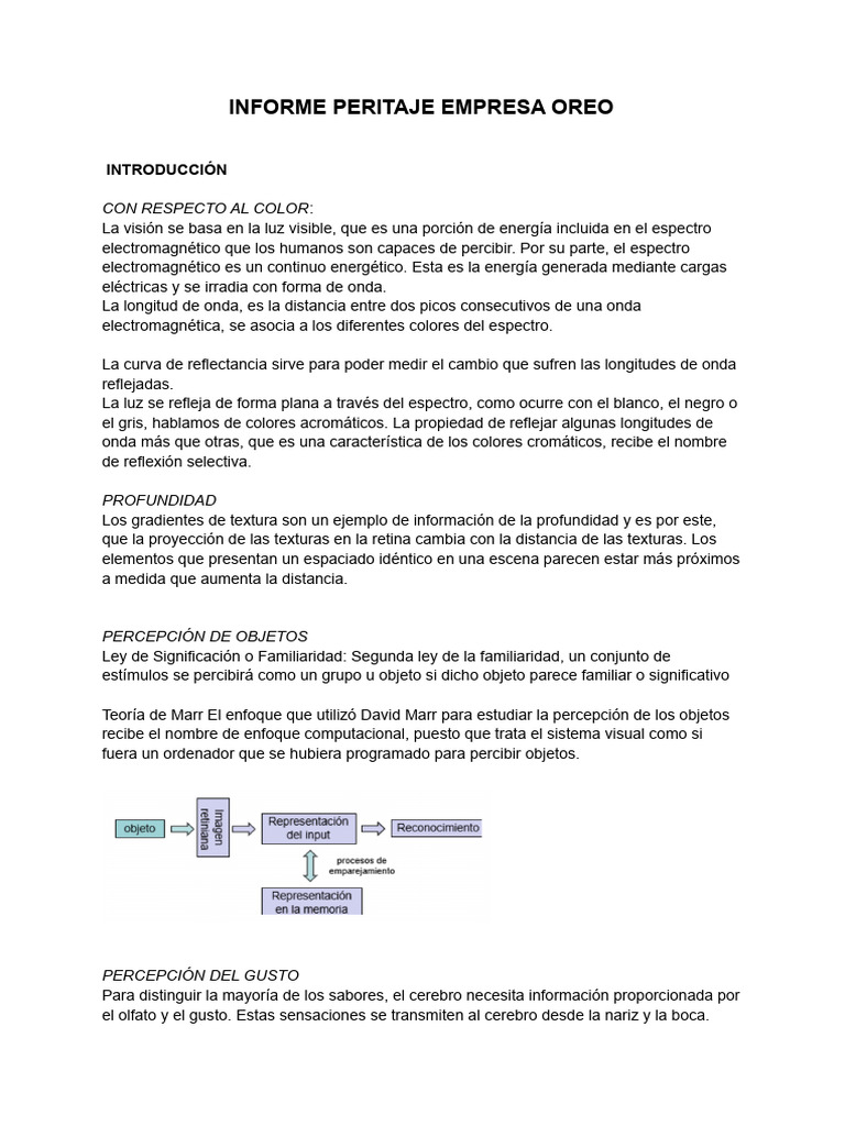 Informe Abp (G10) | PDF | Percepción | Color