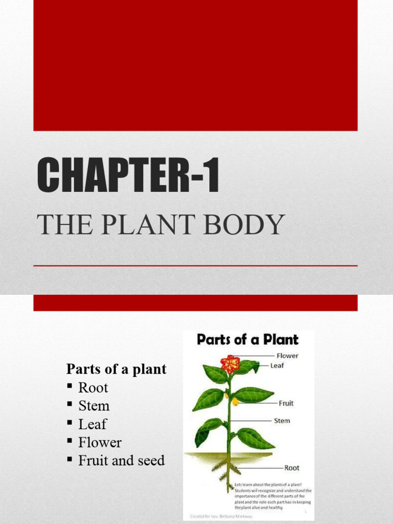 Bio Chapter 1 | PDF