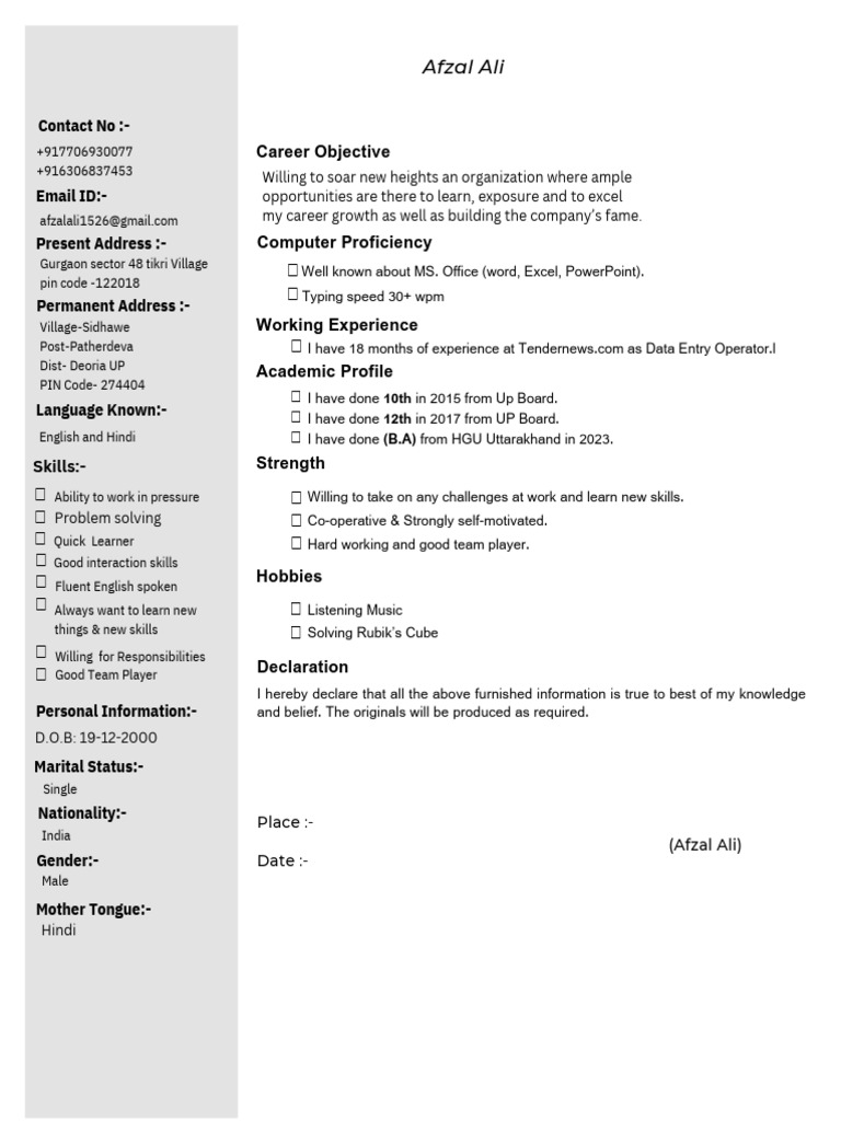 Afzal Ali Resume: Skills & Experience | PDF
